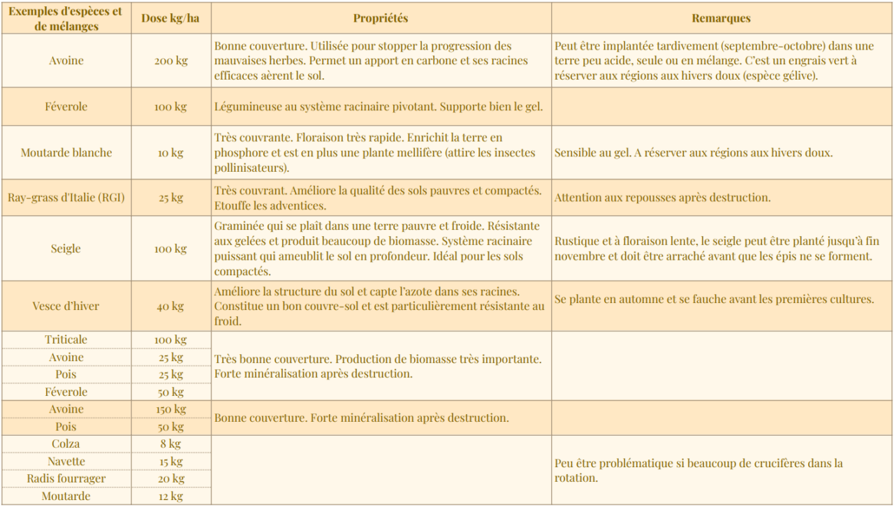 Les engrais verts de l’automne - La voix du Maraicher